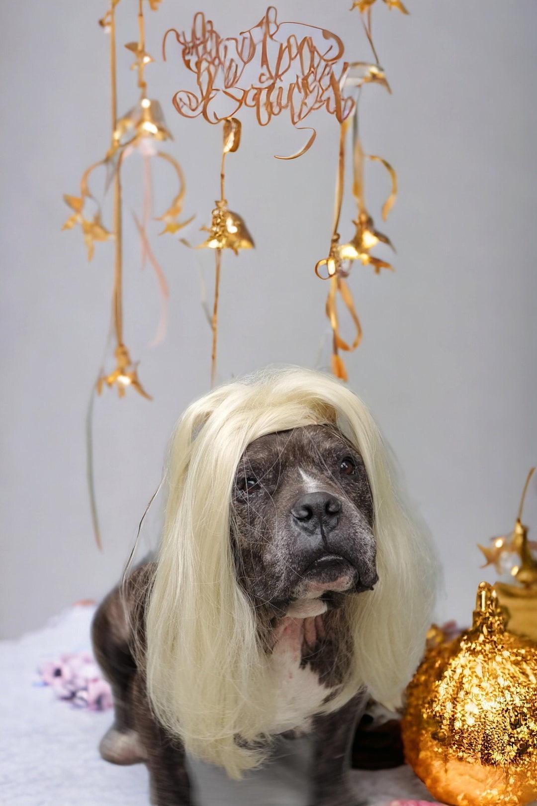 Blond Wig for Large Dog, Adjustable Elastic, Pet Costume - Etsy