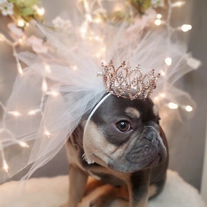 Crown With Veil for Dog or Cat /princess Dog Crown / Crown for Dog ...