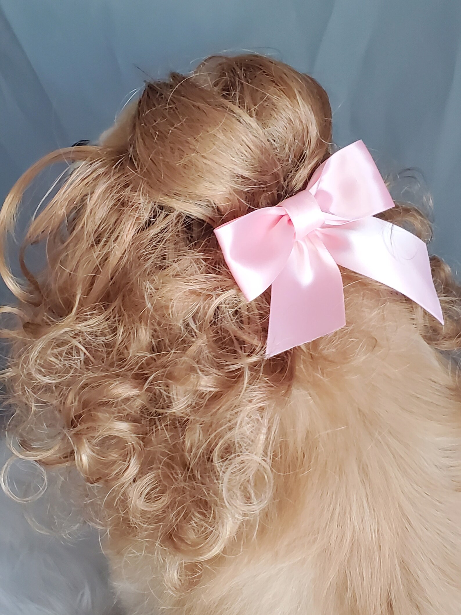 Supper Cute Pet Wig With Curly for Dog or Cat /halloween Dog Wig ...