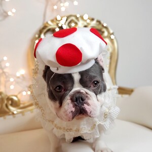 Mushroom Pet Hat, Super Mario Dog Costume, Adjustable Fit - Etsy