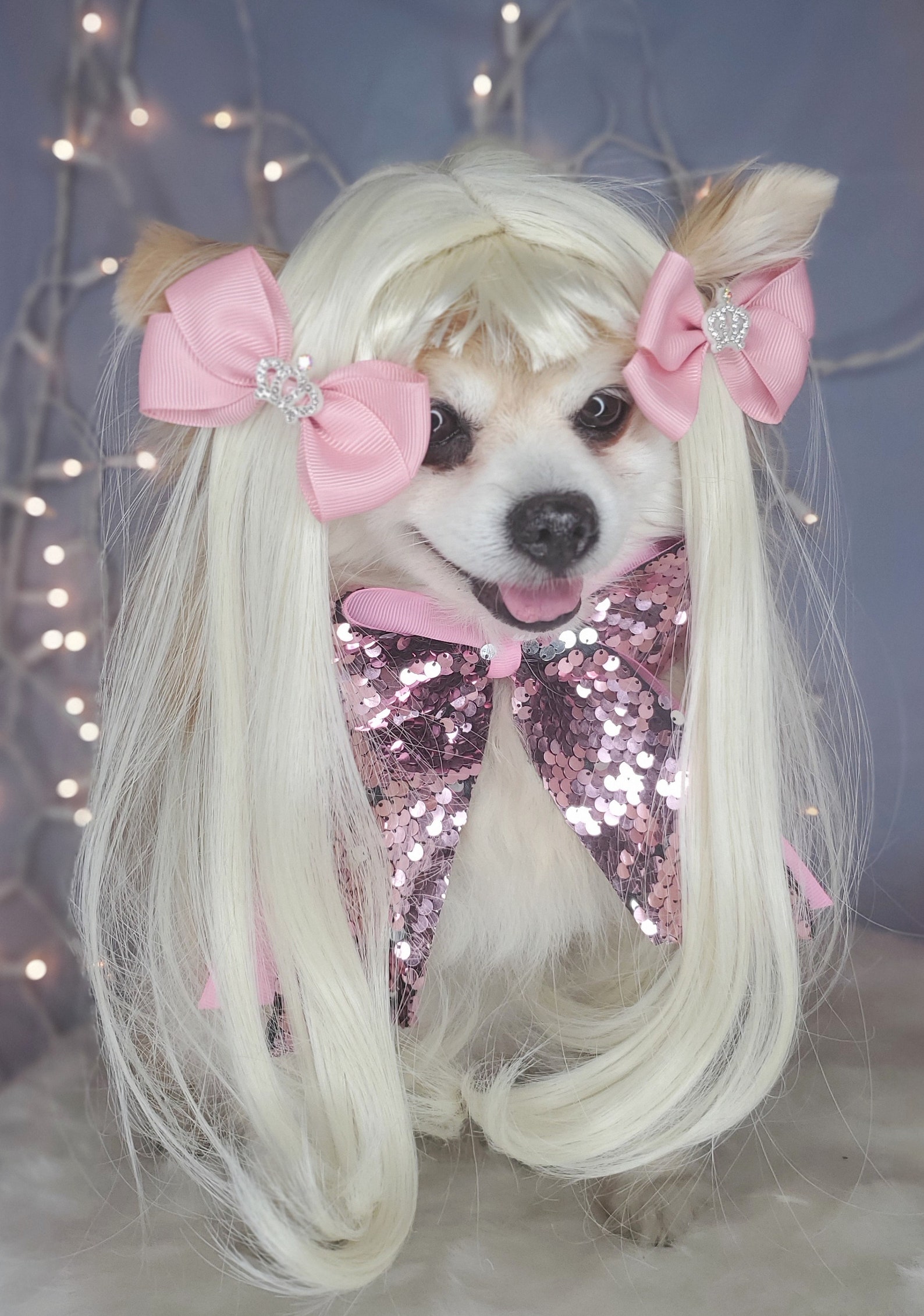 Pet Wig Blond Color Long Hair for Dog or Cat/halloween Dog Wig /small ...