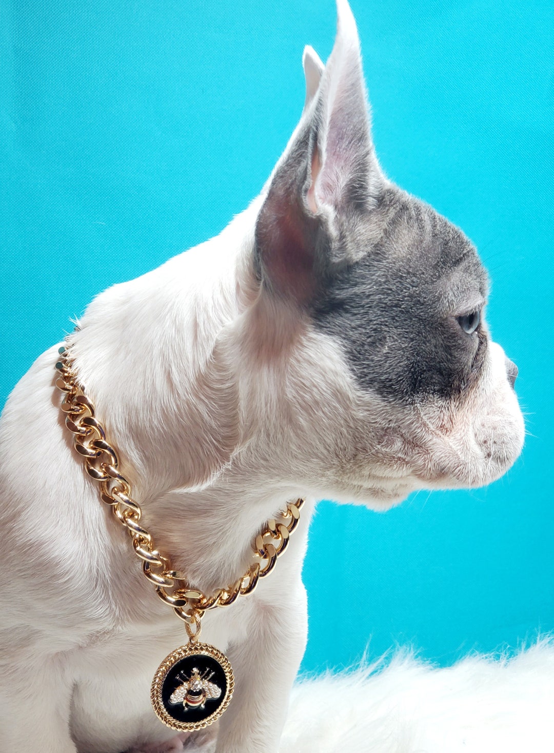 Supper Cute Dog Neck Chain Gold Color/ Pet Collar/ Jewelry for Pet / - Etsy