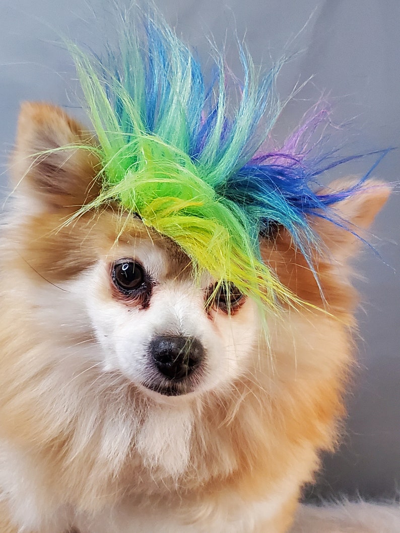 Mohawk for your pet / Halloween dog costume /Cat Mohawk / | Etsy