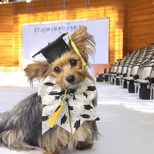 Graduation Pet Hat for Cat or Dog, Adjustable Elastic, XS/S - Etsy
