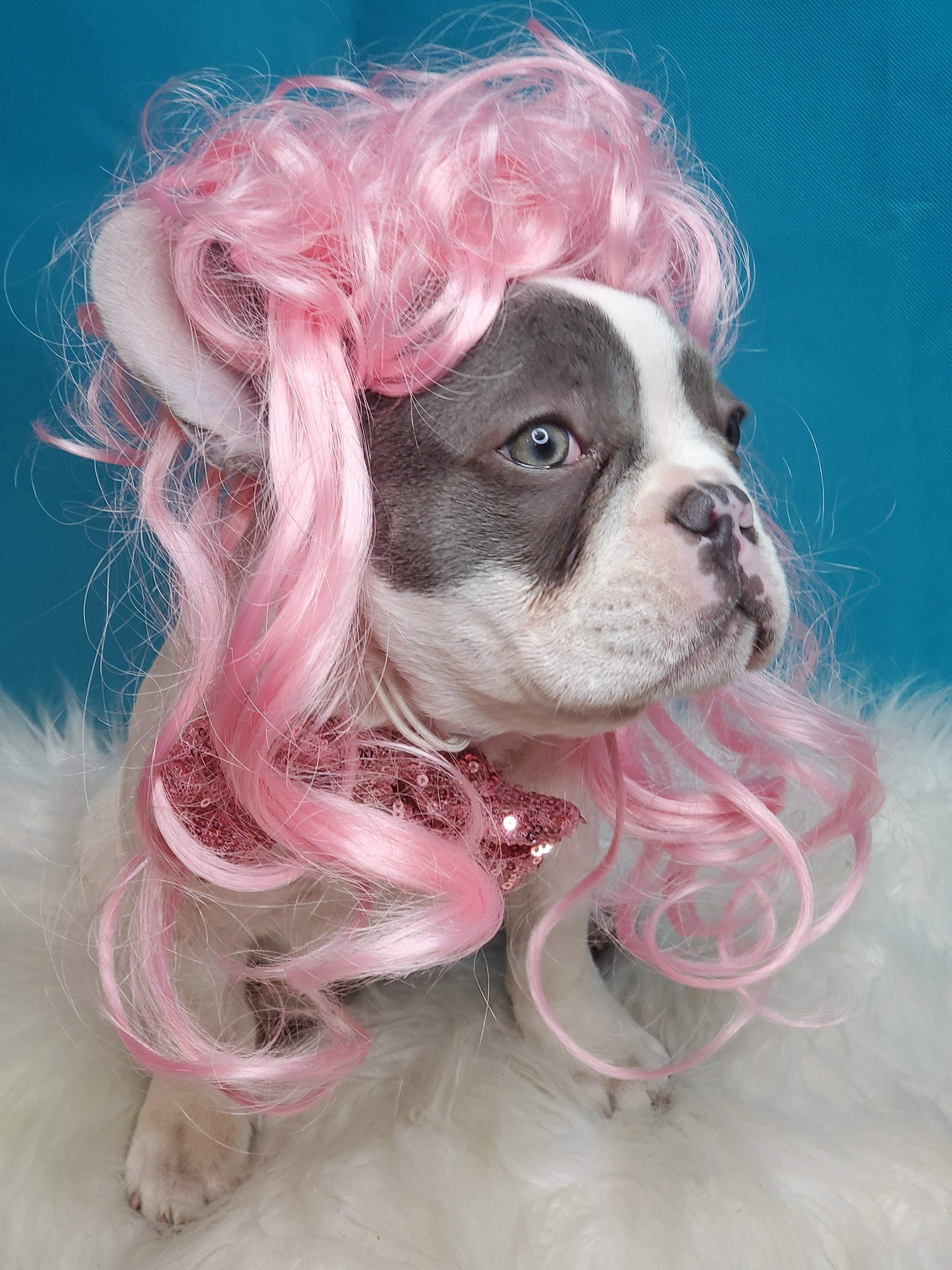 Pink Pet Wig: Adjustable Costume Wig for Dogs & Cats - Etsy
