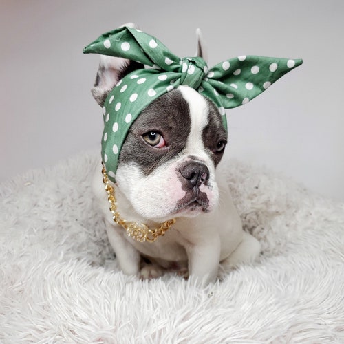 Headband for Dog or Cat /headband for Dogs/pet Gift/ - Etsy