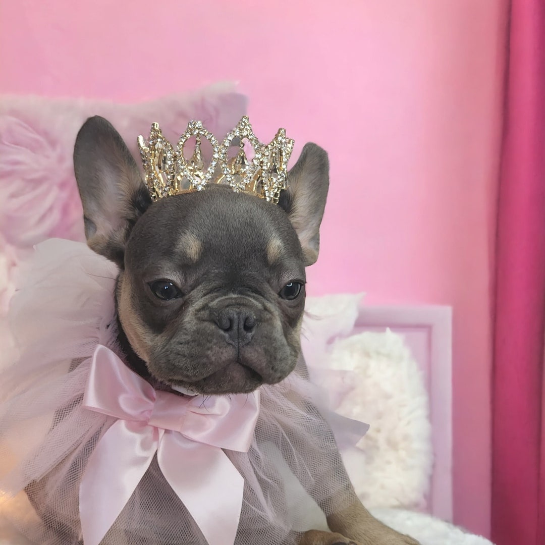 Gold Color Crown Pink Color Neck Collar for Dog or Cat /princess Dog ...