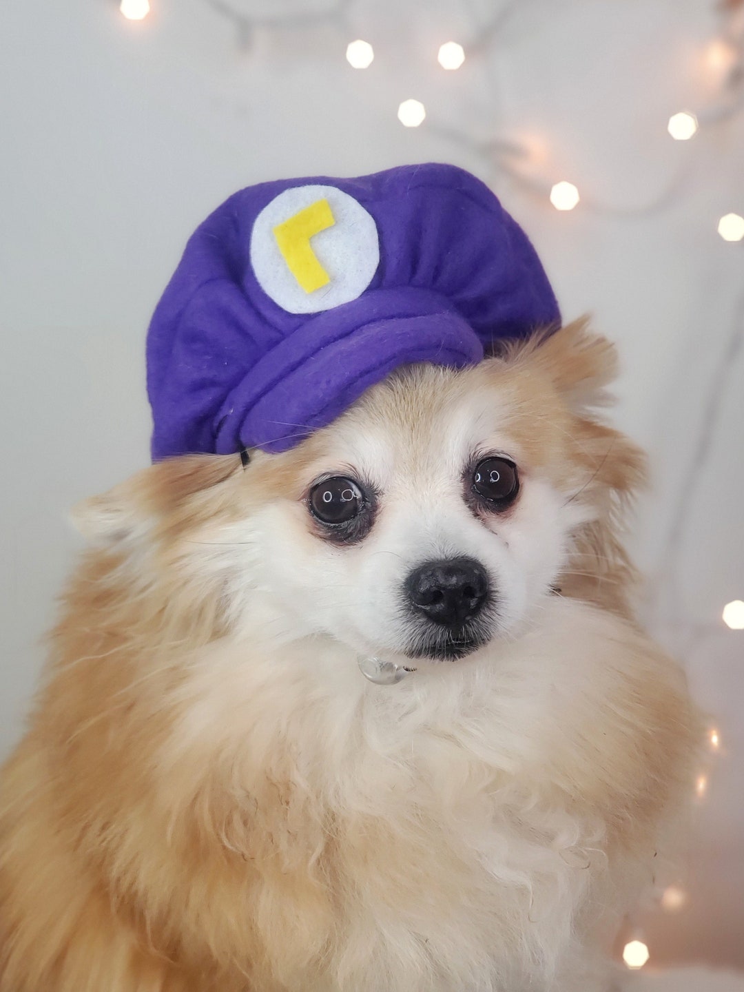 Supper Wario, Waluigi, Fire Mario , Mario ,luido Dog Costume/halloween ...