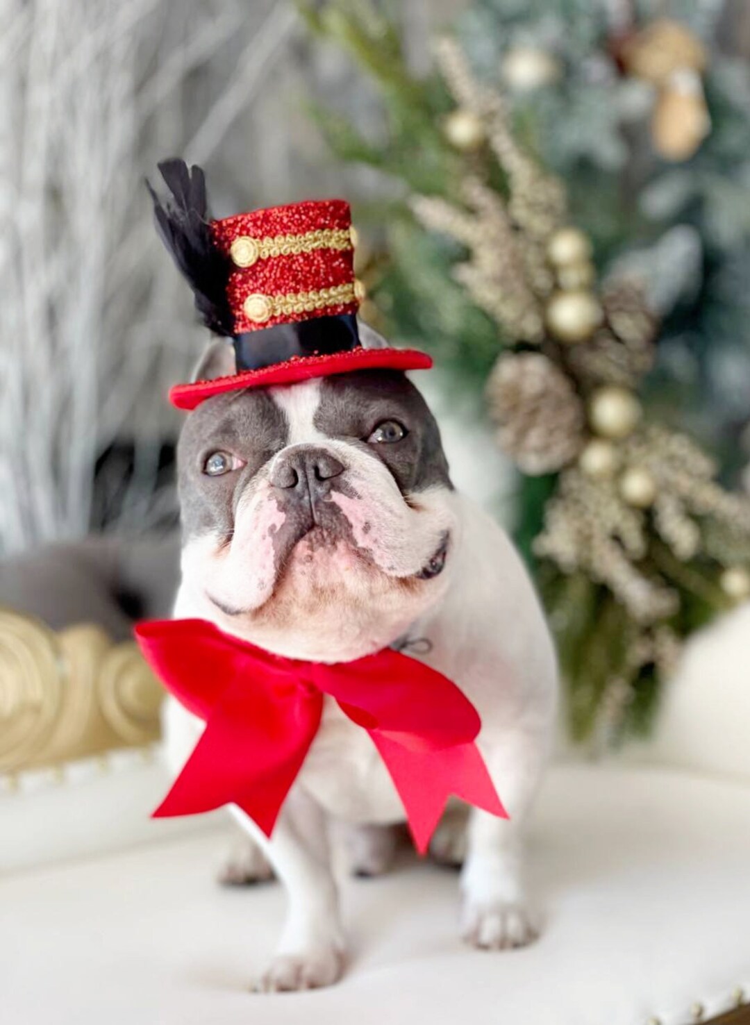 Nutcracker Mini Top Hat and Bow Set for Pets/ Christmas Hat Red Color ...