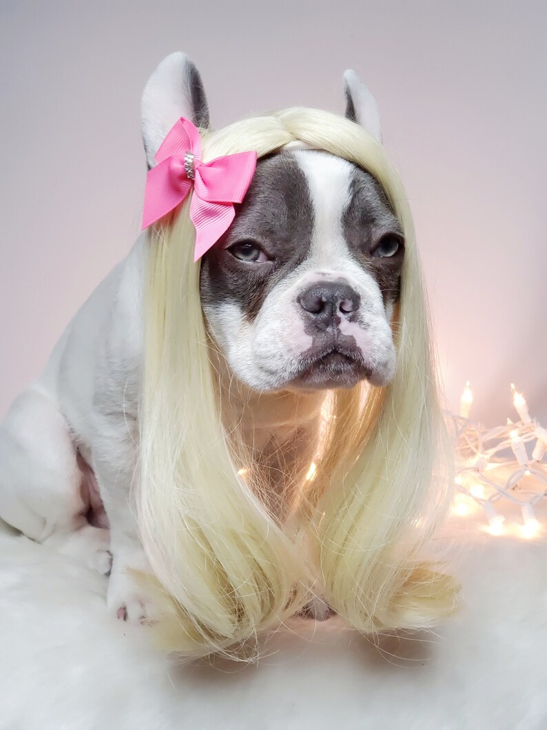 Cute Pet Wig /wig for Dog or Cat / Halloween Dog Wig / Costume - Etsy