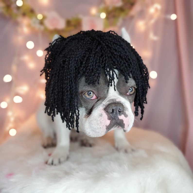 Black Pet Wig | Adjustable Costume Wig for Dogs & Cats - Etsy