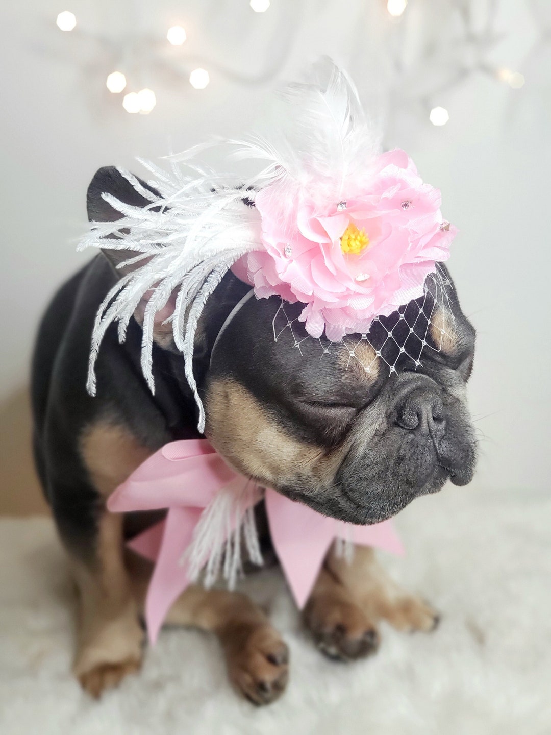 Cute Pink Color Hat With Flower for Dog or Cat/pet Hat /derby Dog Hat ...