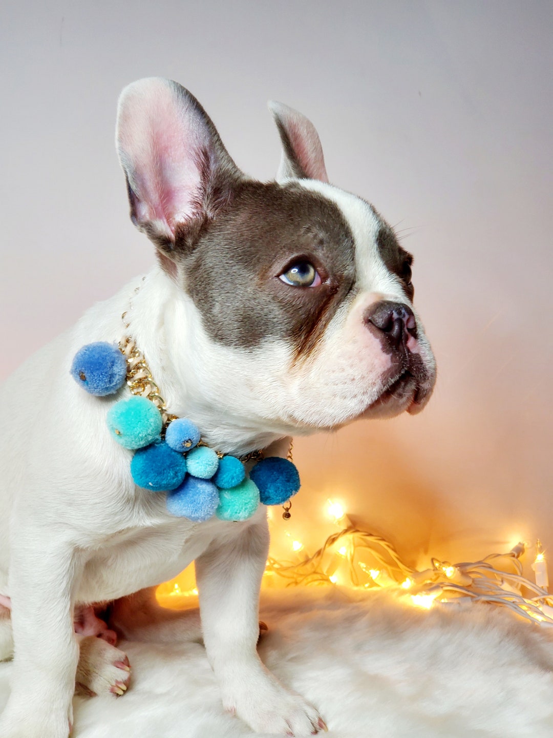 Supper Cute Dog Neck Chain Gold Color/ Jewelry for Pet /jewelry Collar ...