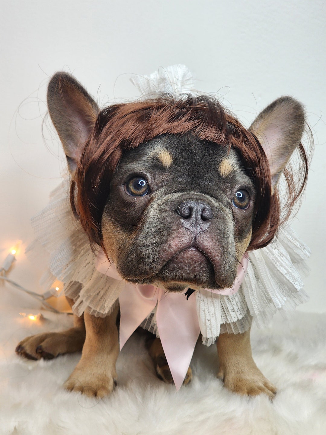 Pet Wig Brown Color for Dog or Cat/halloween Dog Wig / Pet Costume /dog ...