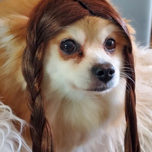 Cute Pet Braided Wig for Dog or Cat/halloween Pet Wig /costume Wig for ...