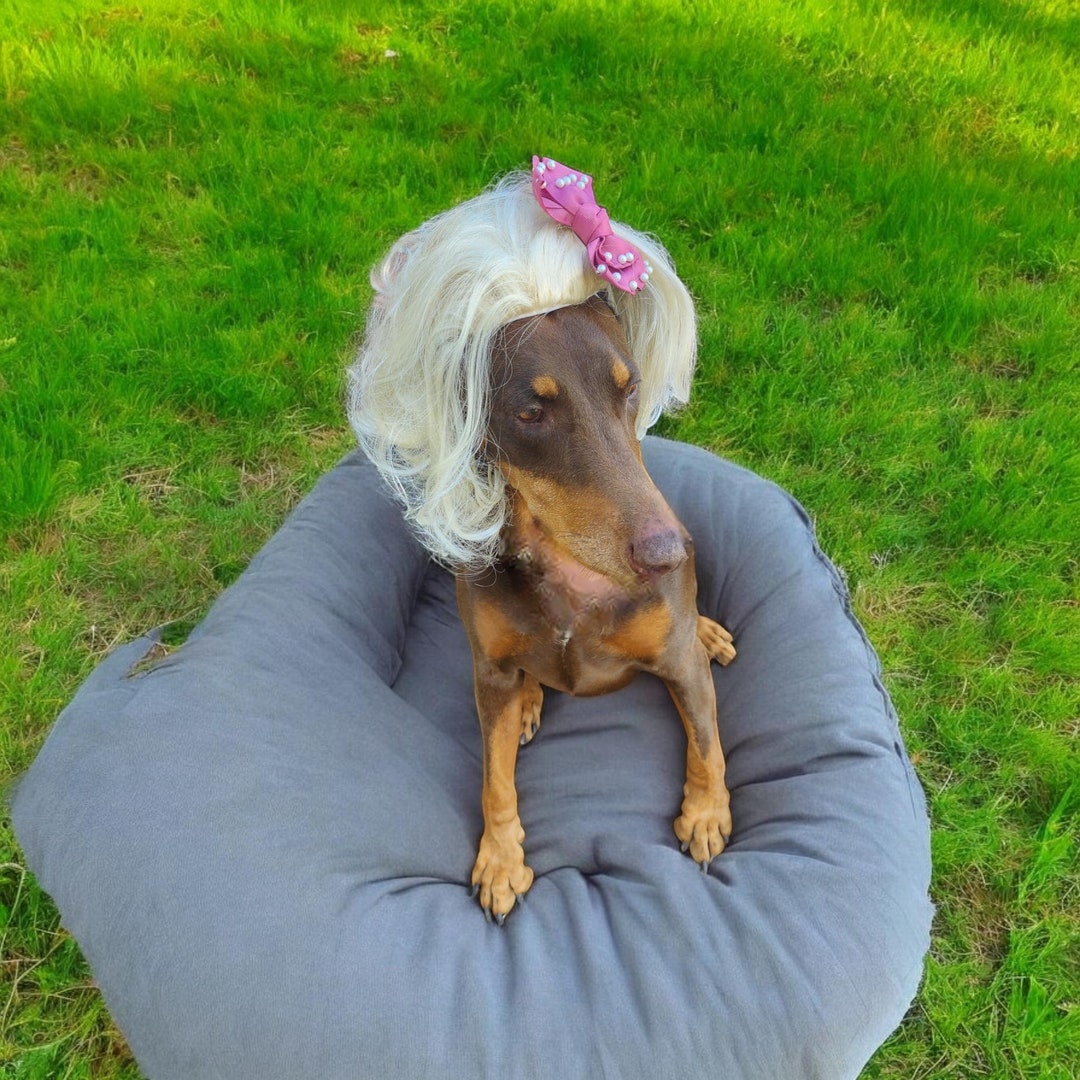 Large Size Blond Color Wig for Large Dog /halloween Costume for Dogs ...