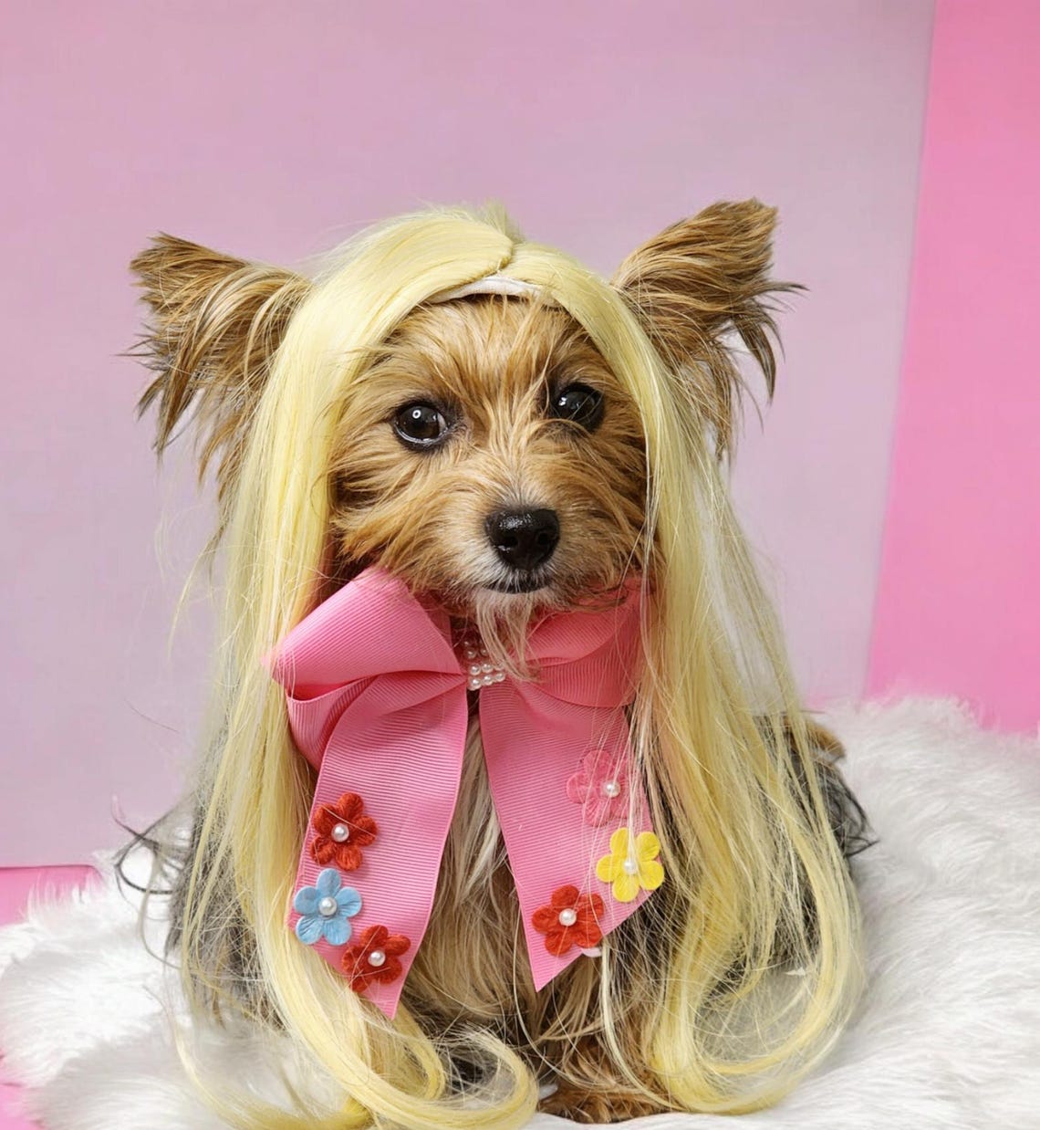 Cute Pet Wig, Halloween Costume for Dog or Cat - Etsy