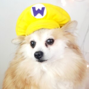 Mario Luigi Pet Hat – Adjustable Costume for Dog or Cat - Etsy