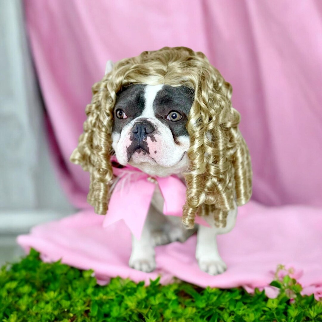 Blond Curly Pet Wig: Halloween Costume for Large Dog - Etsy