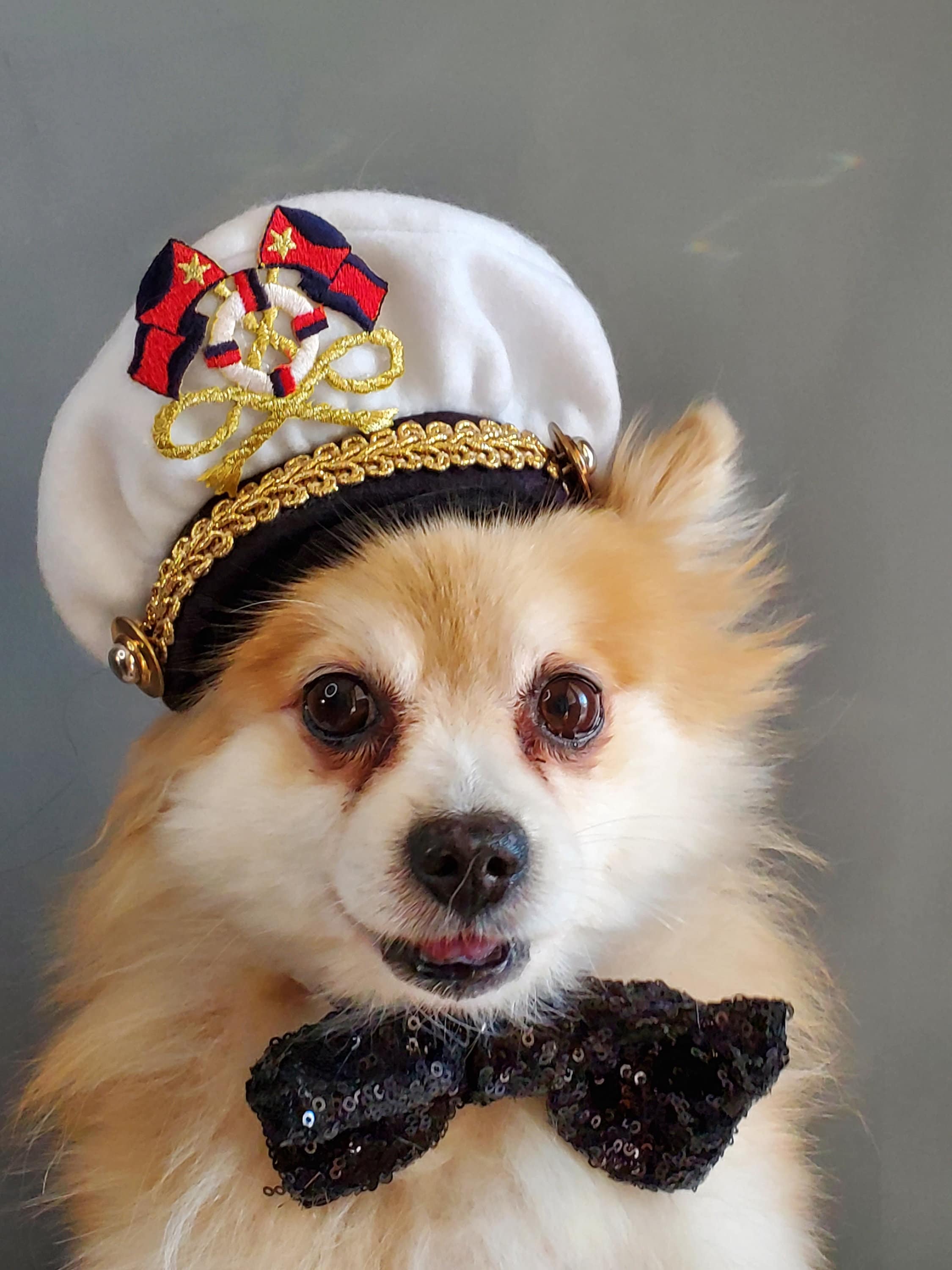 Captain Hat for Dog or Cat Small Animal Doll /halloween Pet | Etsy