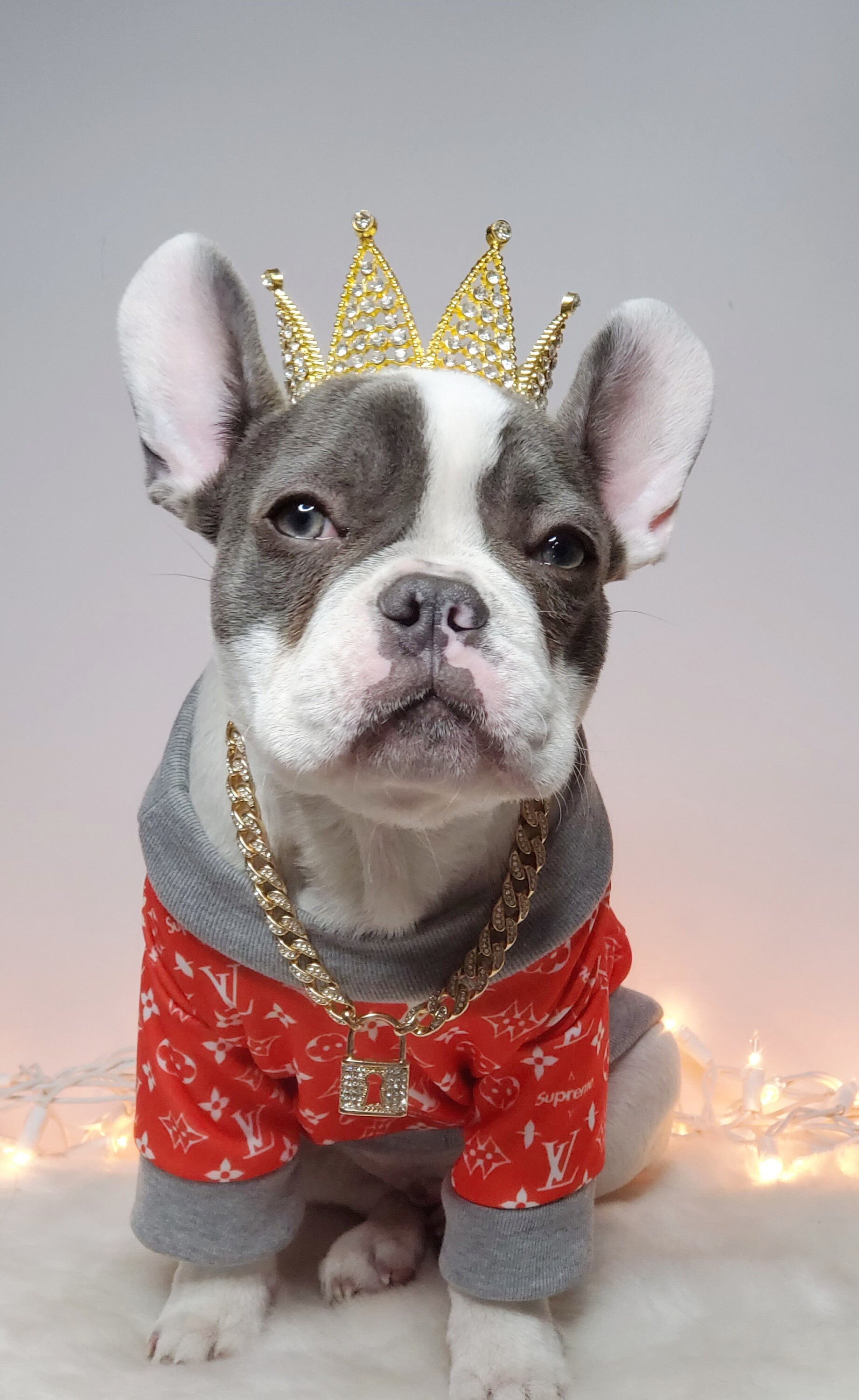 Crown for Dog or Cat /princess Dog Crown / Crown for Dog - Etsy UK