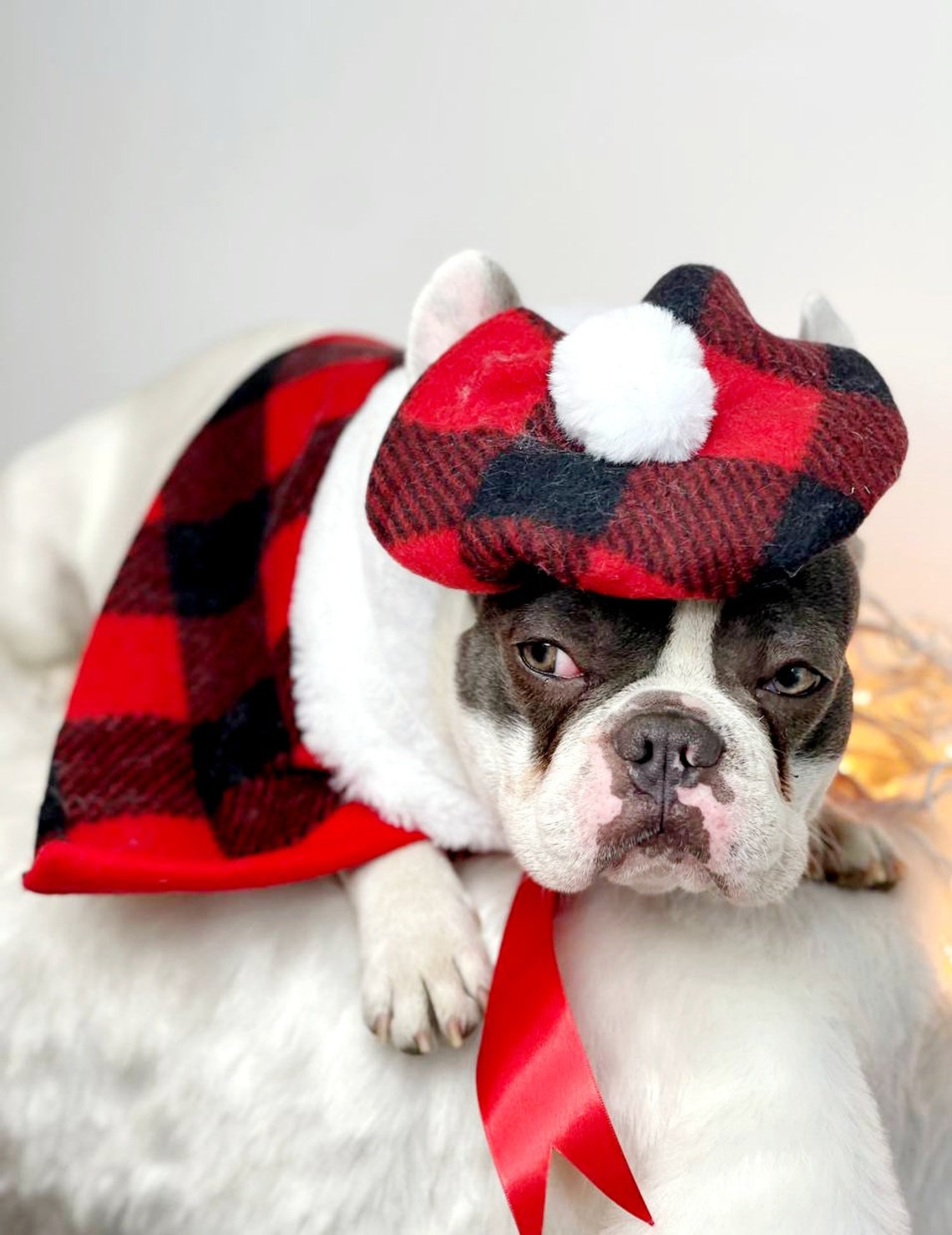 Set 2 Piece Beret and Cape Cover for Dog Cat or Small Animal / - Etsy