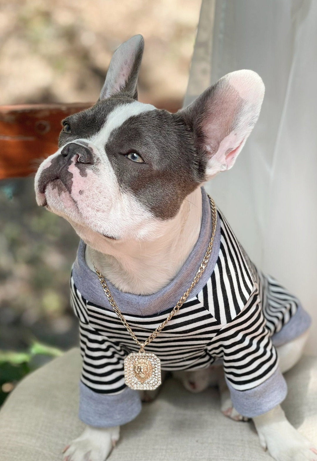 Supper Cute Dog Neck Chain Gold Color/ Jewelry for Pet /jewelry Collar ...