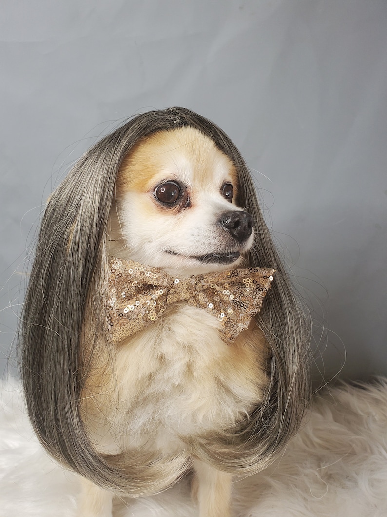 Cute Pet Wig for Dog or Cat - Etsy
