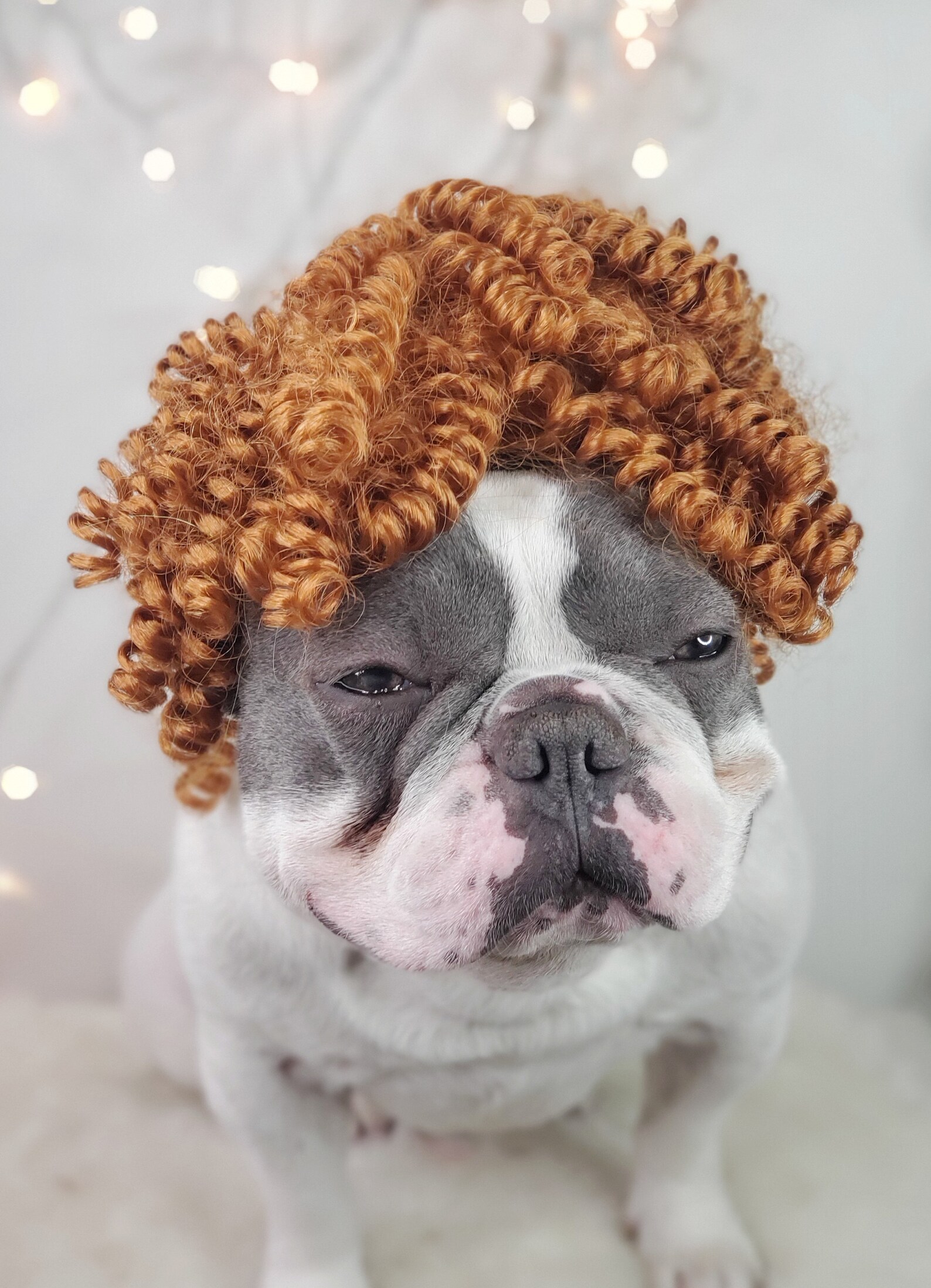 Large Brown Dog Wig, Halloween Costume, Pet Accessory - Etsy