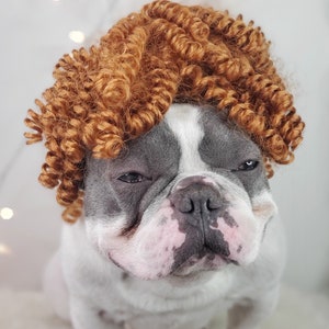 Large Brown Dog Wig, Halloween Costume, Pet Accessory - Etsy