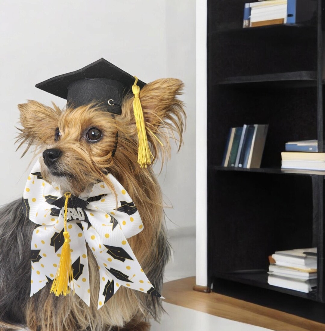 Graduation Dog Hat / Graduation Cat Hat /graduation Hat for Small ...
