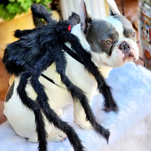 Spider Dog Costume: Adjustable Halloween Pet Costume - Etsy