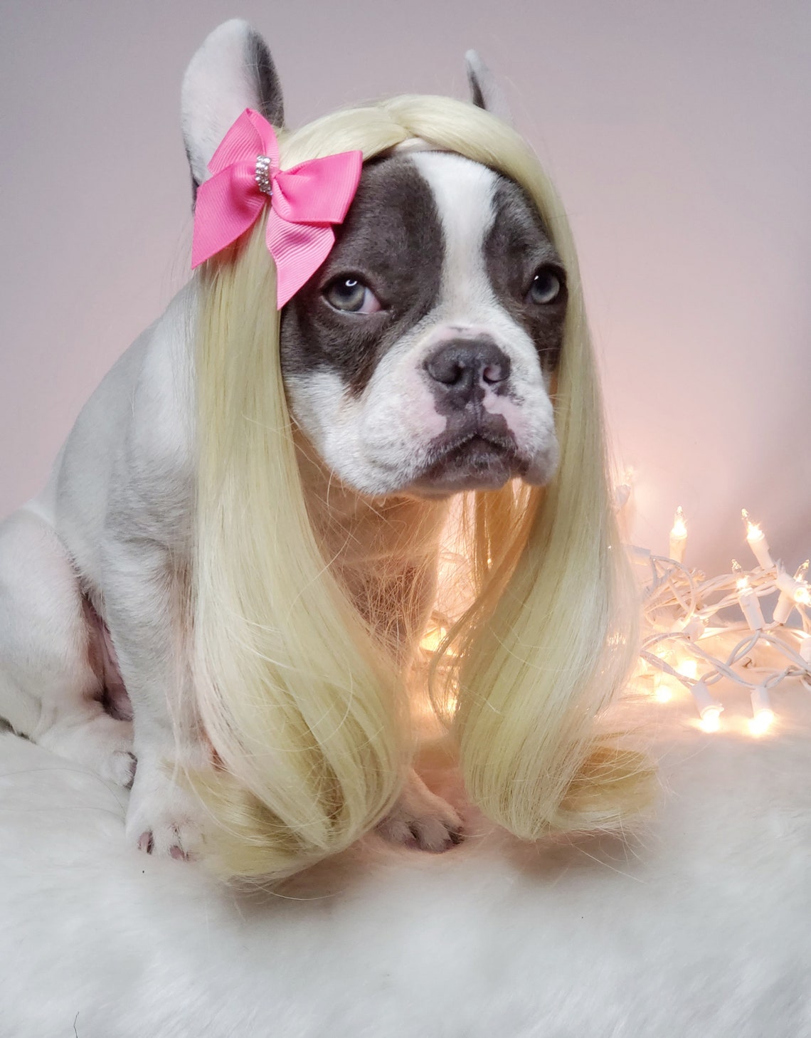 Cute Pet Wig /wig for Dog or Cat / Halloween Dog Wig / Costume - Etsy