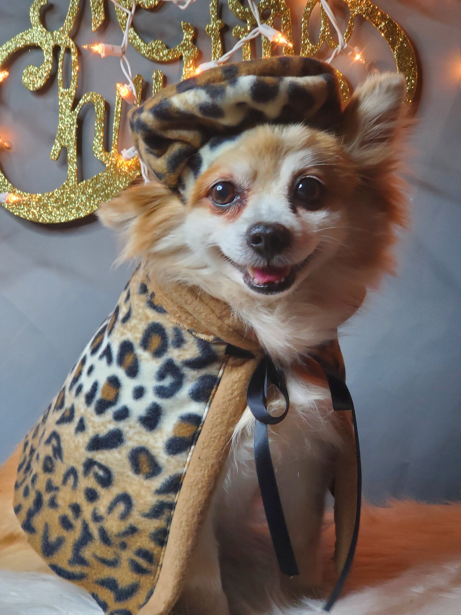 Set 2 Piece Beret and Cape Cover for Dog Cat or Small Animal / | Etsy