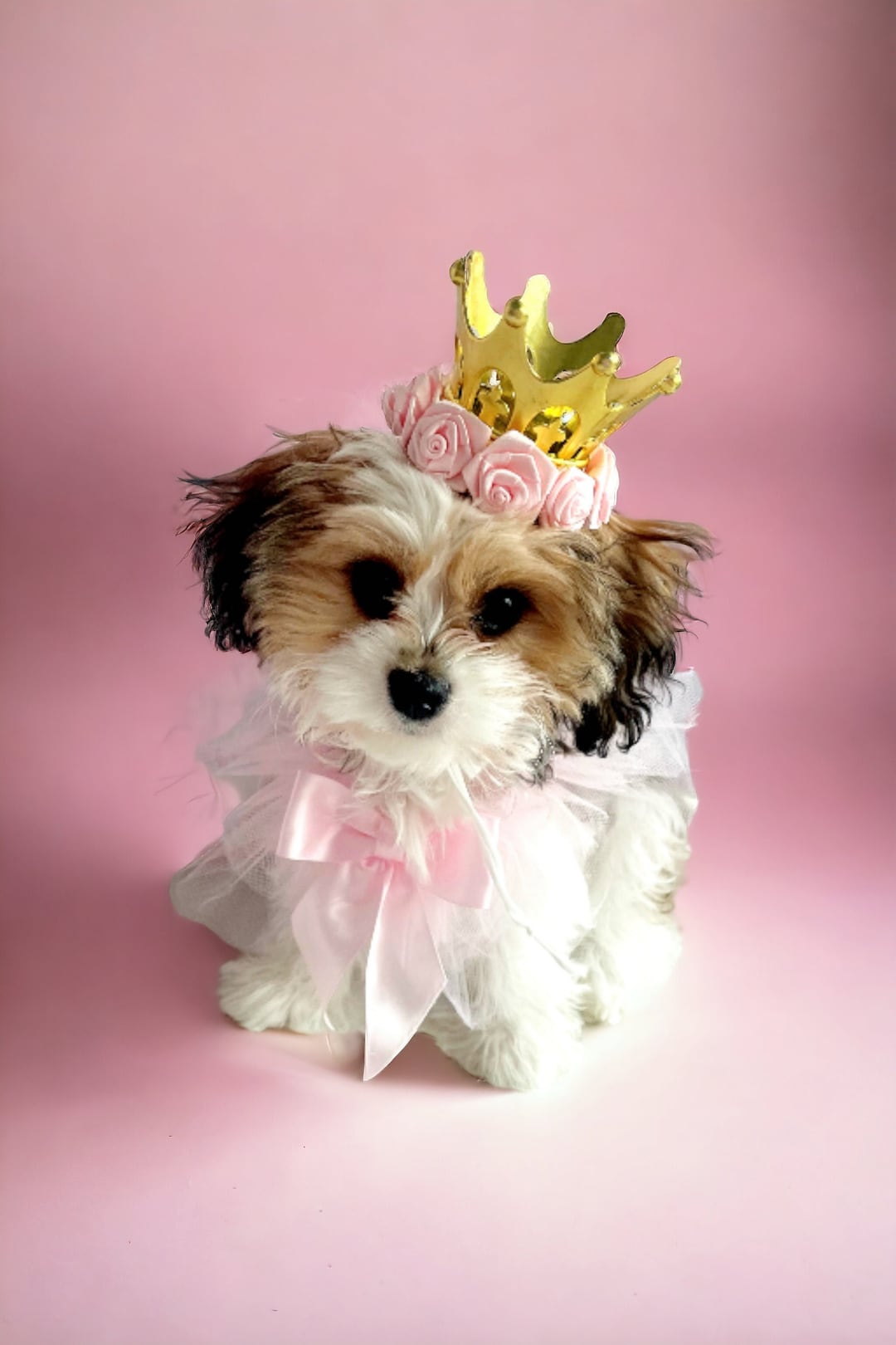 Gold Color Crown for Dog or Cat / Gold Color Dogs Crown / - Etsy