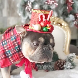 Christmas Pet Costume: Red Dog Hat & Cape Set - Etsy