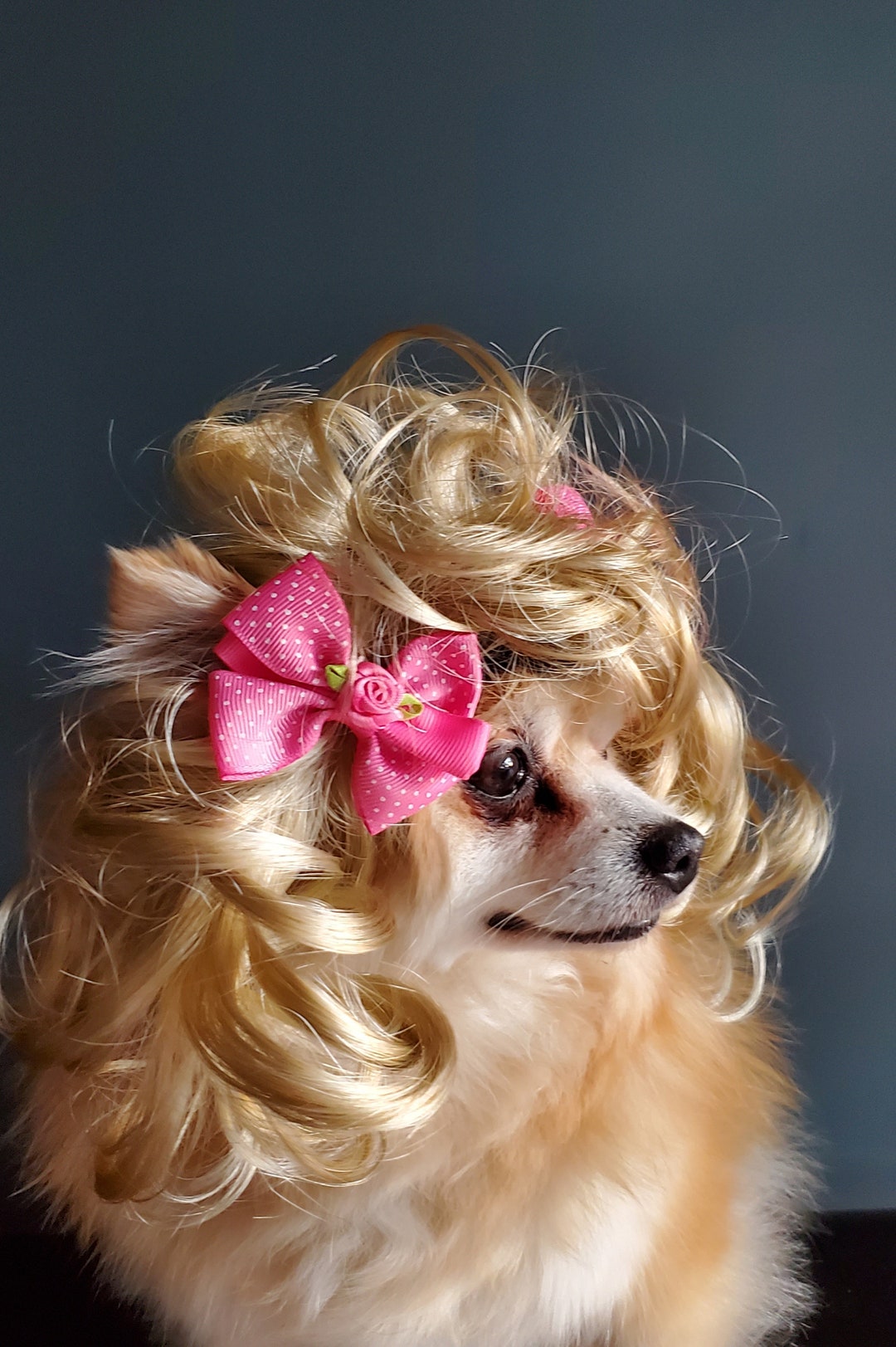 Blond Pet Wig With Pink Bow – Dog & Cat Costume - Etsy