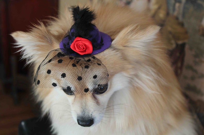 Cute Purple Color Mini Hat With Feather and Flowers for Dog or - Etsy