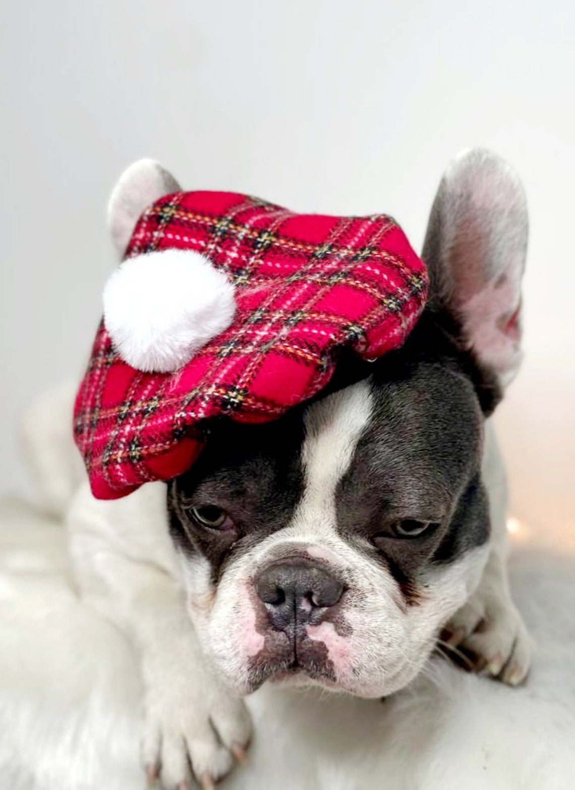Beret Hat Red Color for Dog or Cat /small Animal Beret /dog - Etsy