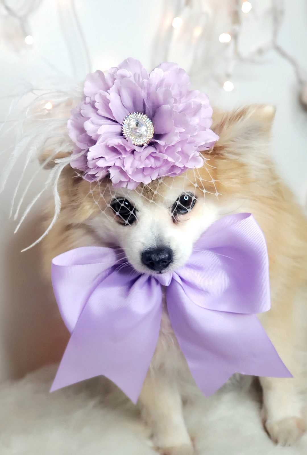 Elegant Dog Hat With Flower and Feather, Small Pet Costume - Etsy