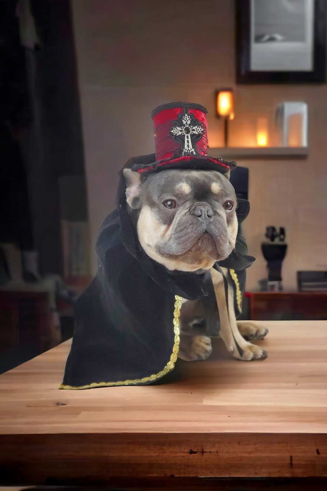 Vampire Pet Costume: Black Cape & Top Hat, Halloween Outfit - Etsy