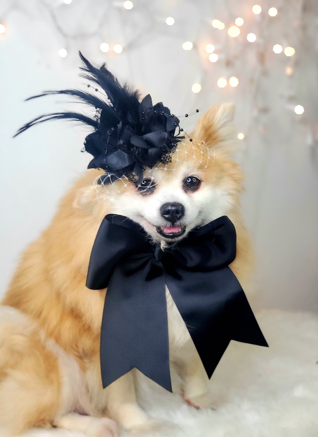 Pet Hat - Dog Cat Costume Black Color - Etsy