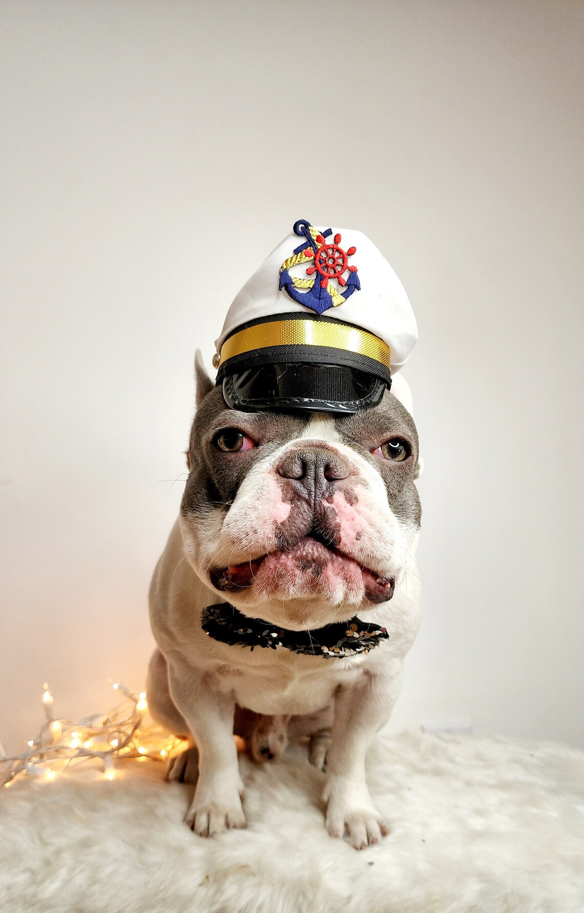 Captain Hat for Dog or Cat Small Animal Doll /halloween Pet Hat ...