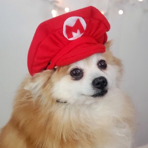 Supper Wario, Waluigi, Fire Mario , Mario ,luigi / Dog Costume ...