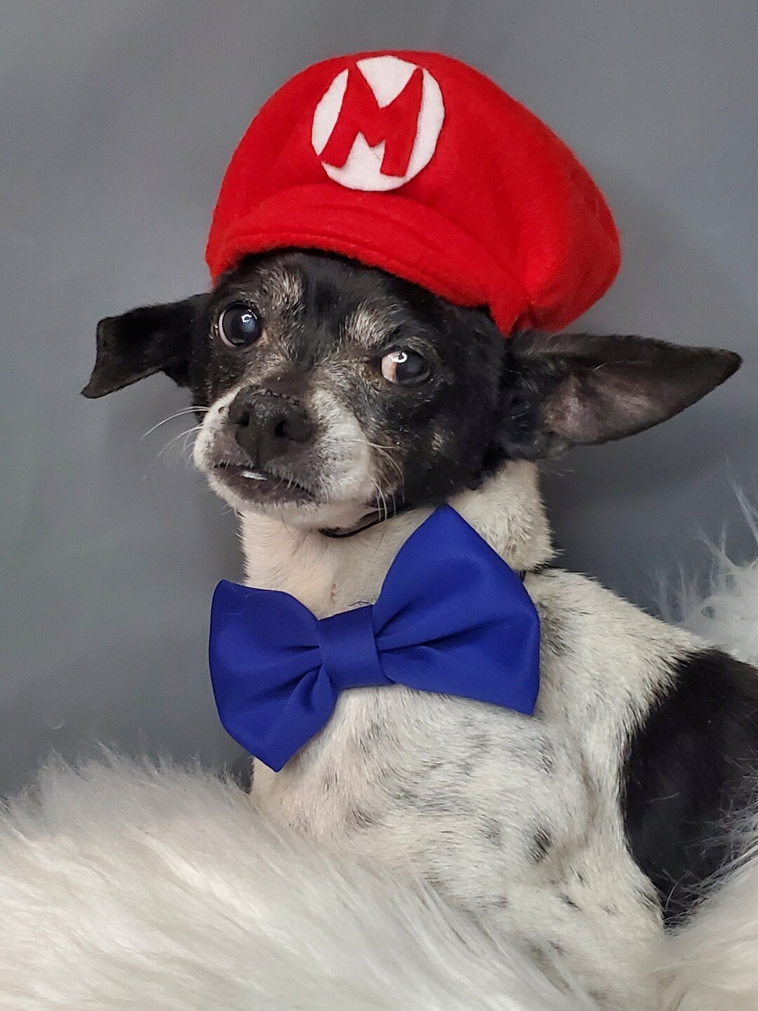 Supper Mario Hat Red Color for Dog or Cat Small Animal Doll /halloween ...