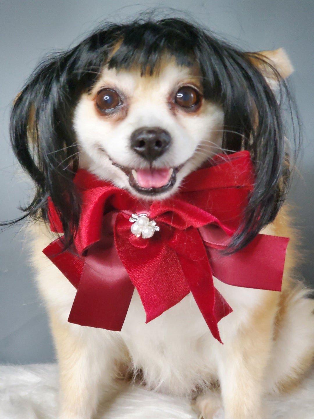 Black Pet Wig: Elegant Costume Accessory for Dogs & Cats - Etsy