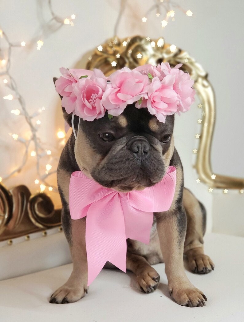 Pet Flower Crown and Bow Tie Set, Elegant Floral Wedding Outfit - Etsy UK