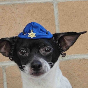 Handmade Hanukkah Pet Hat With Star – Dog Kippah Yarmulke - Etsy