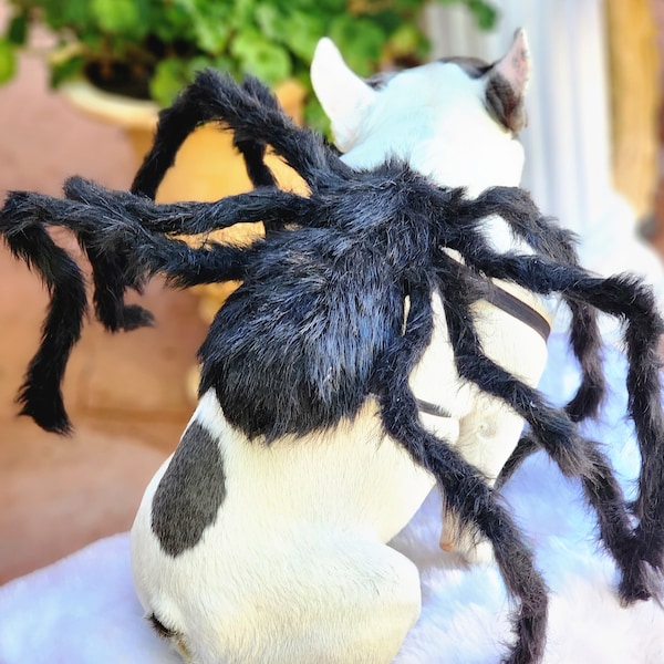Halloween Dog Spider Costume - Etsy