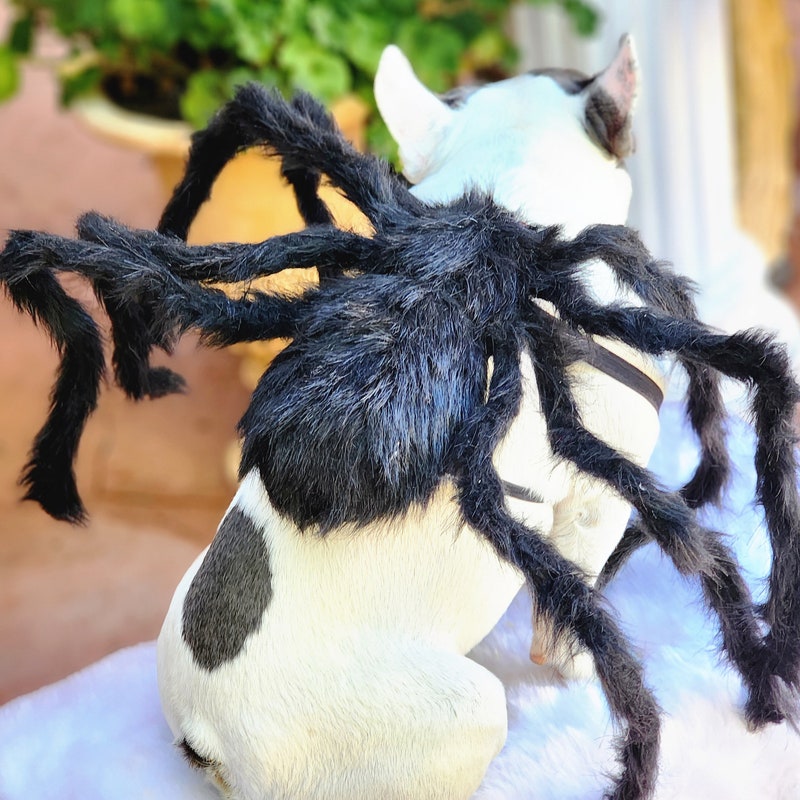 Dog Spiders Costume - Etsy UK